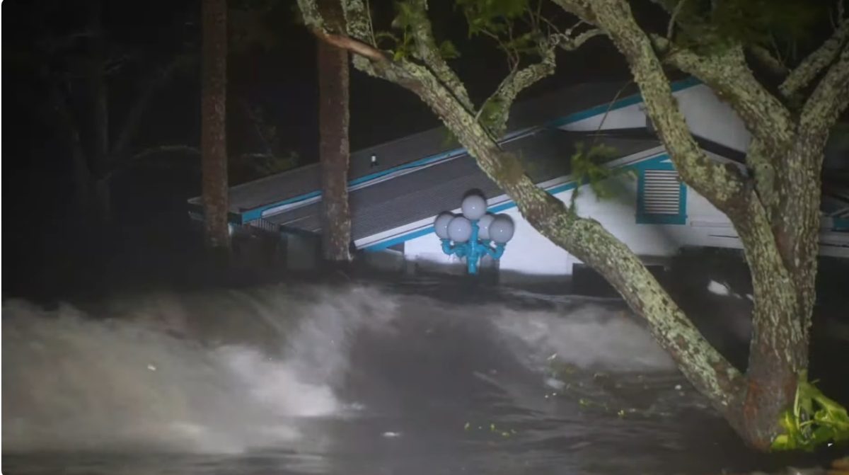 Power Lines Down as Major Hurricane Helene Makes Landfall in Taylor ...